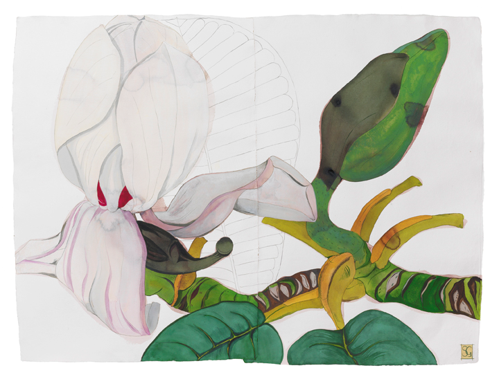 Sarah Graham – New Drawings | Galerie Maximillian